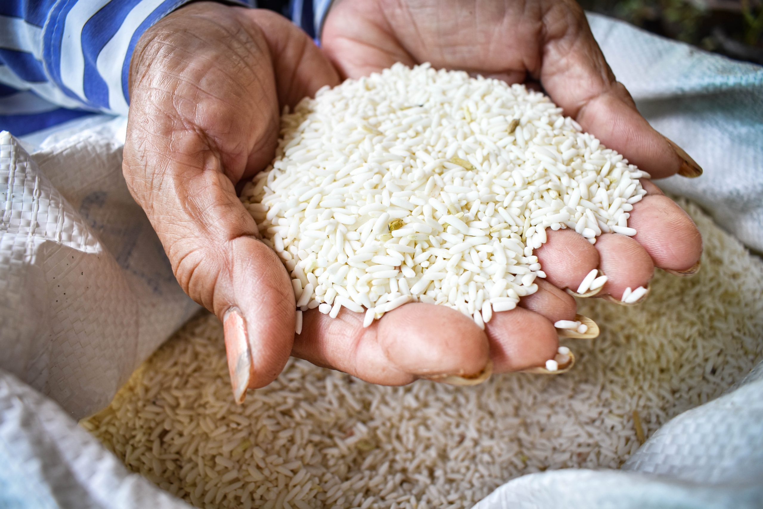 Les prix du riz en baisse au Cameroun - Magazine