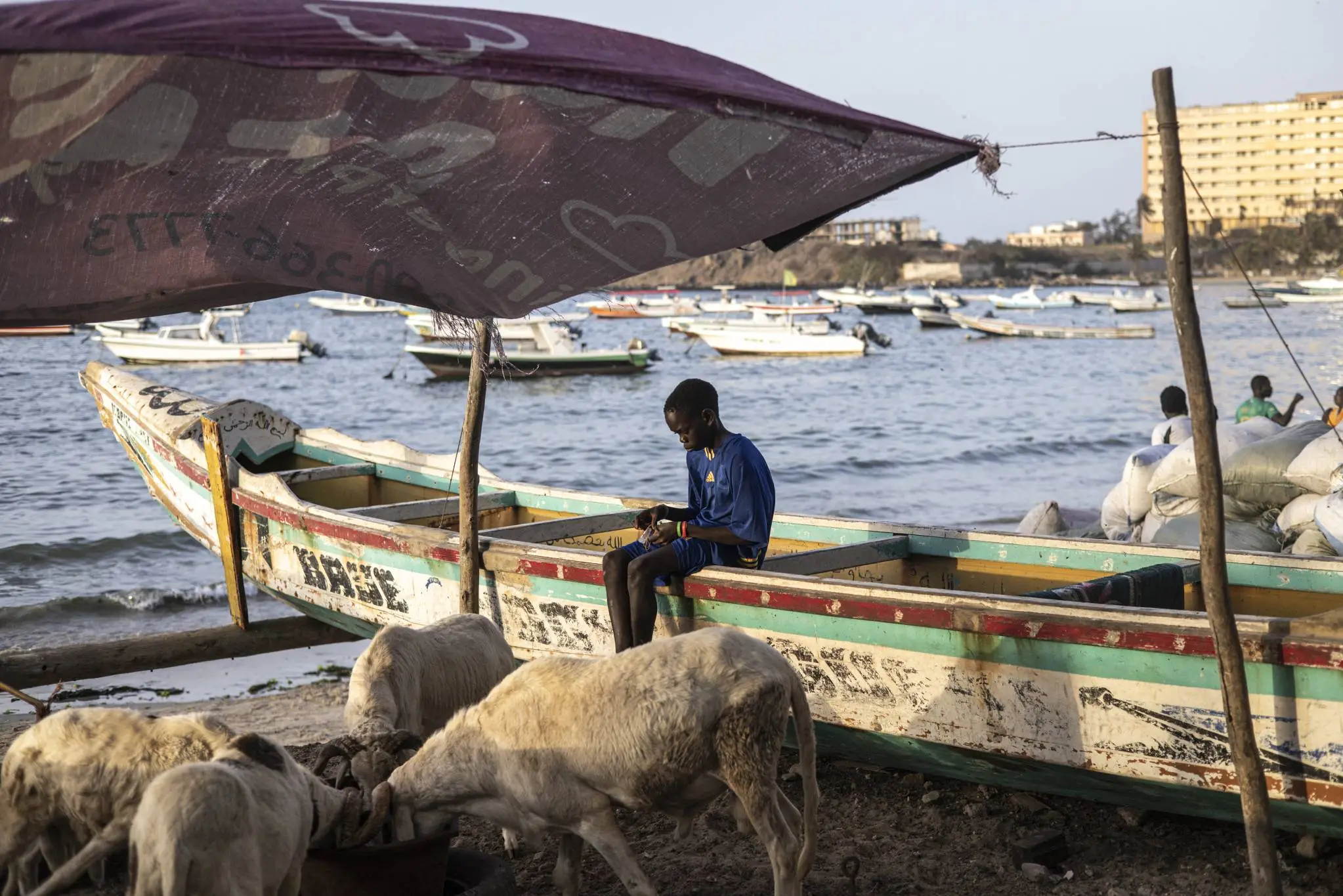 Le cercle des pays producteurs de pétrole : l'entrée du Sénégal ...