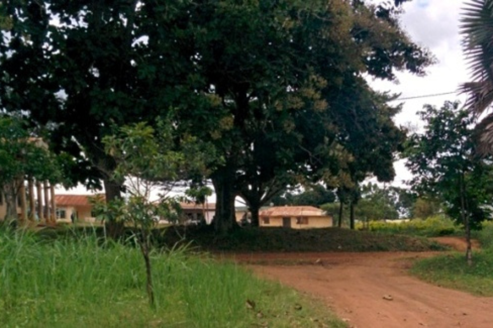 Centre : Un chef agresse son frère à la machette à cause du terrain ...